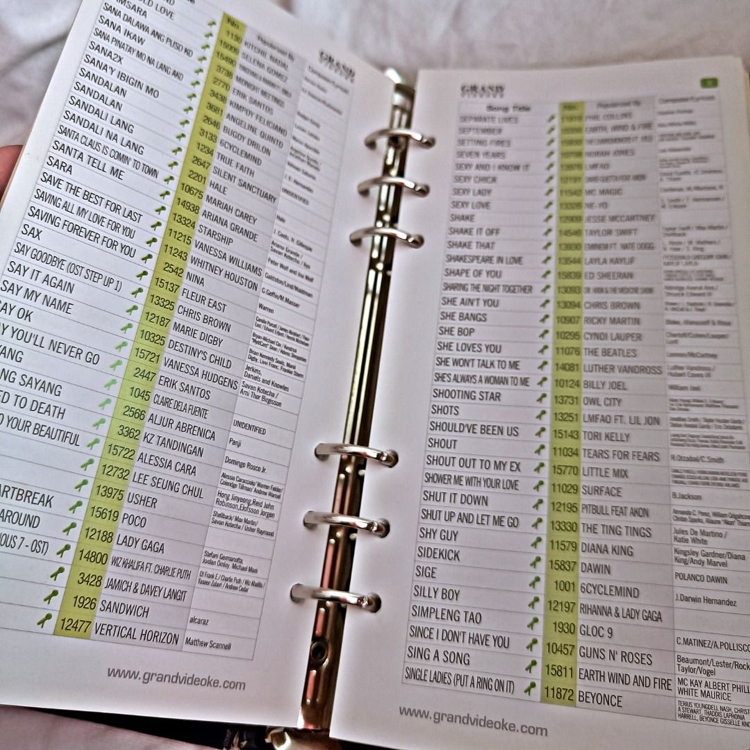 Grand Videoke Rhapsody 3 Pro Plus, TV & Home Appliances, TV ...