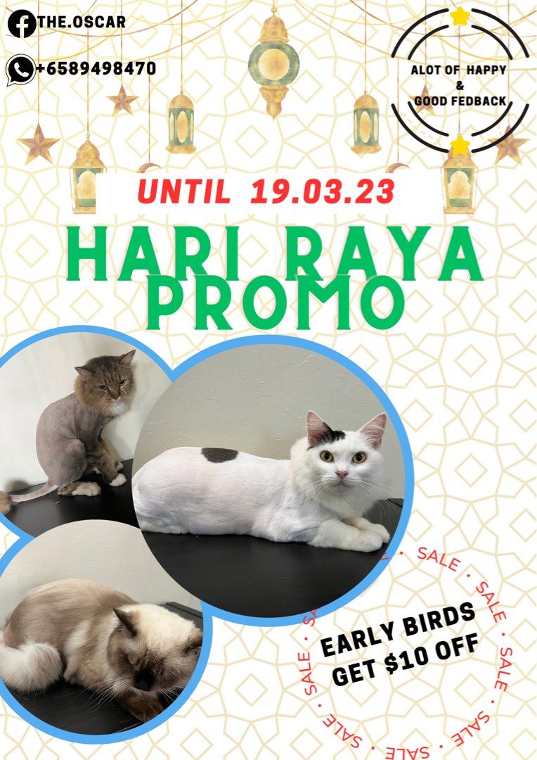 Hari Raya promo cat grooming, Pet Supplies, Health & Grooming on Carousell