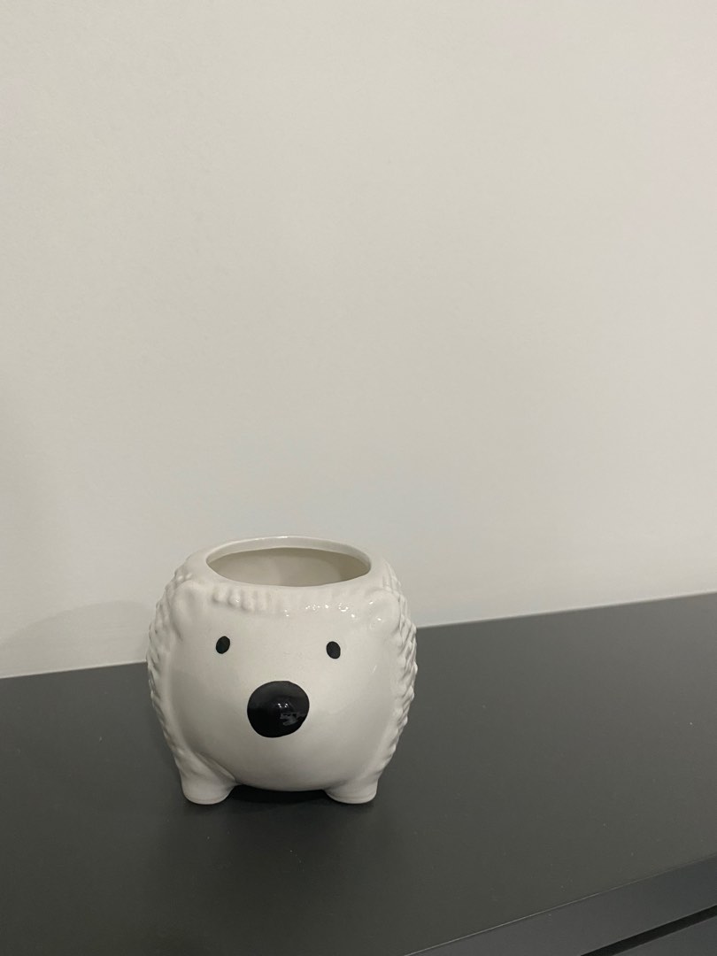 Hedgehog pen holder from Typo, Hobbies & Toys, Stationery & Craft ...