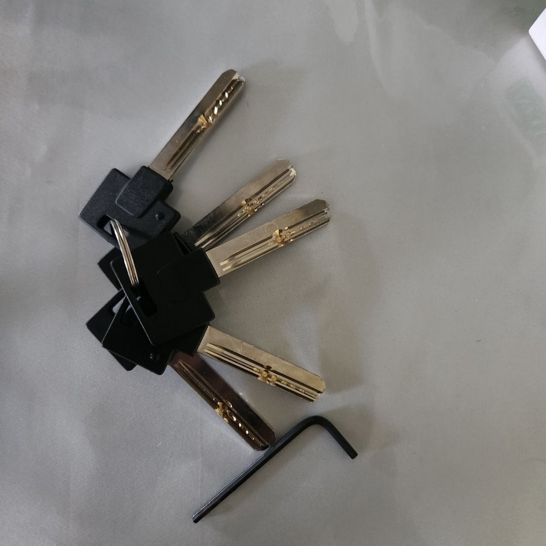 Newton Invents Gate Lock, Furniture & Home Living, Security & Locks ...