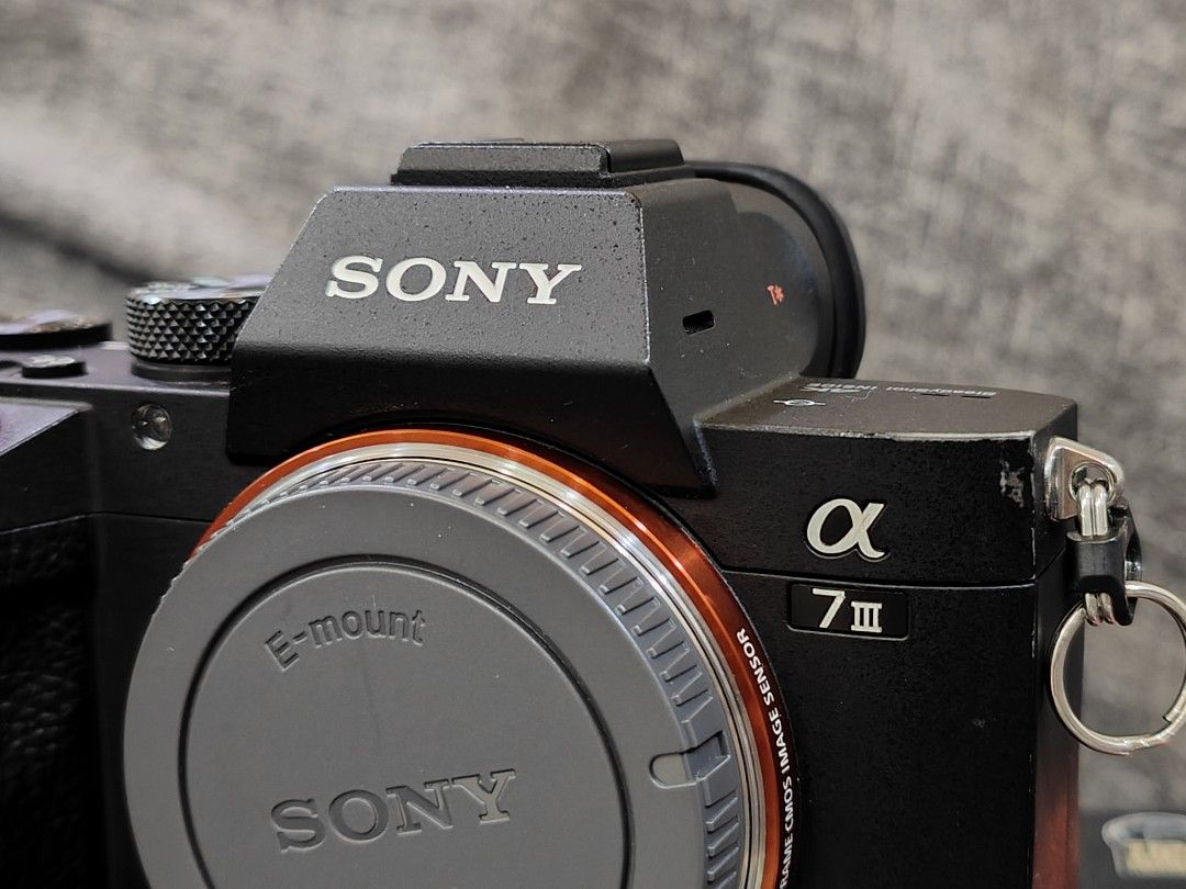 Sony A7iii - Body only, Photography, Cameras on Carousell