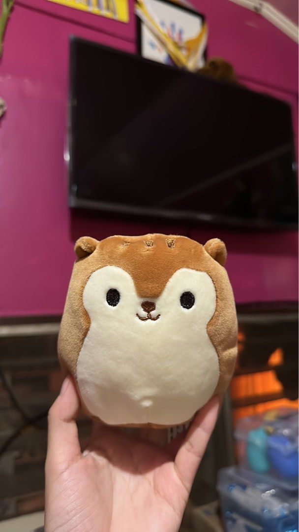 Squishmallow / Squishmallows 5-Inch, Hobbies & Toys, Toys & Games on ...