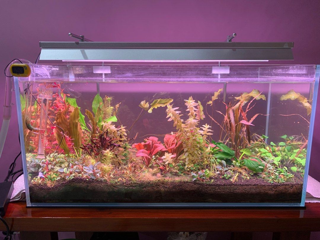 Week Aqua L Series Aquarium Lighting inclusive of Hanging Light Stand ...