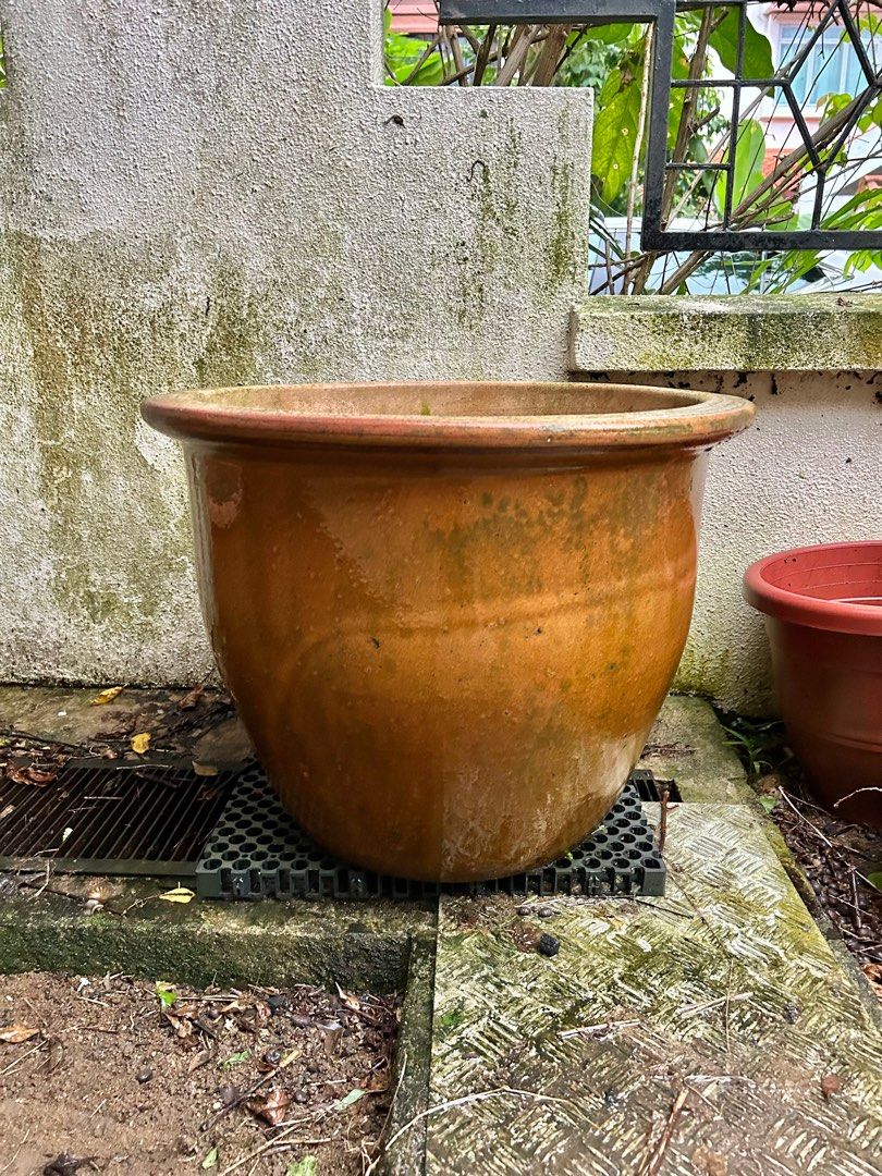 [FREE] Large ceramic pot, Furniture & Home Living, Gardening, Pots ...