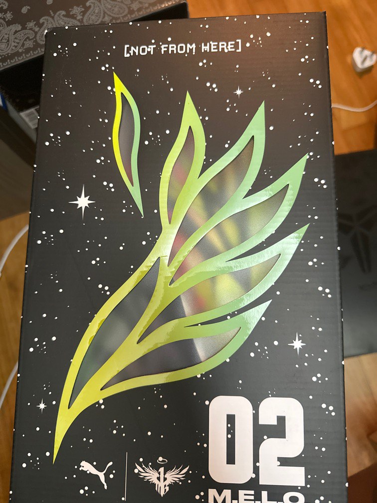 Lemlo MB02 Rick and Morty, Men's Fashion, Footwear, Sneakers on Carousell