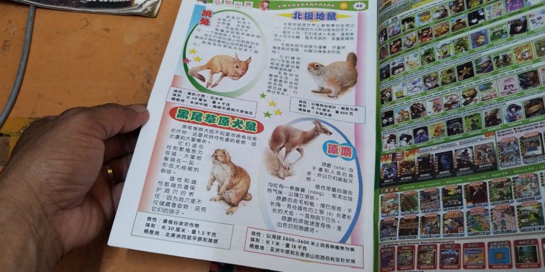 Little professor by mun sang chi nese kids learning education books ...