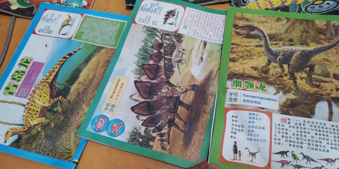 Little professor by mun sang chi nese kids learning education books ...