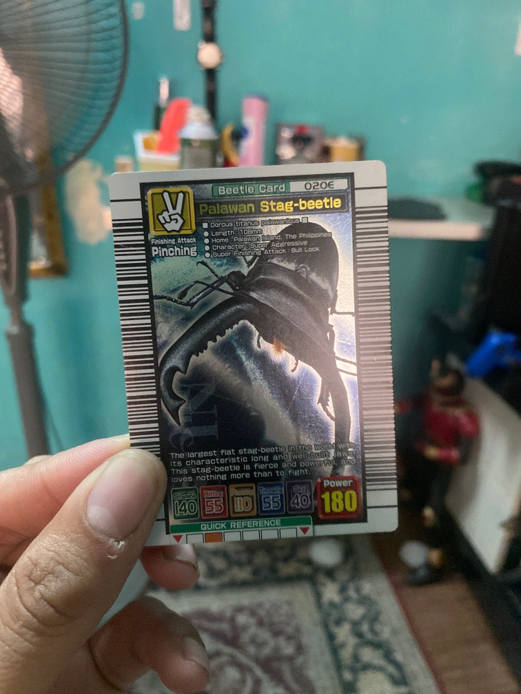 Mushiking Palawan Stag Beetles, Hobbies & Toys, Toys & Games on Carousell