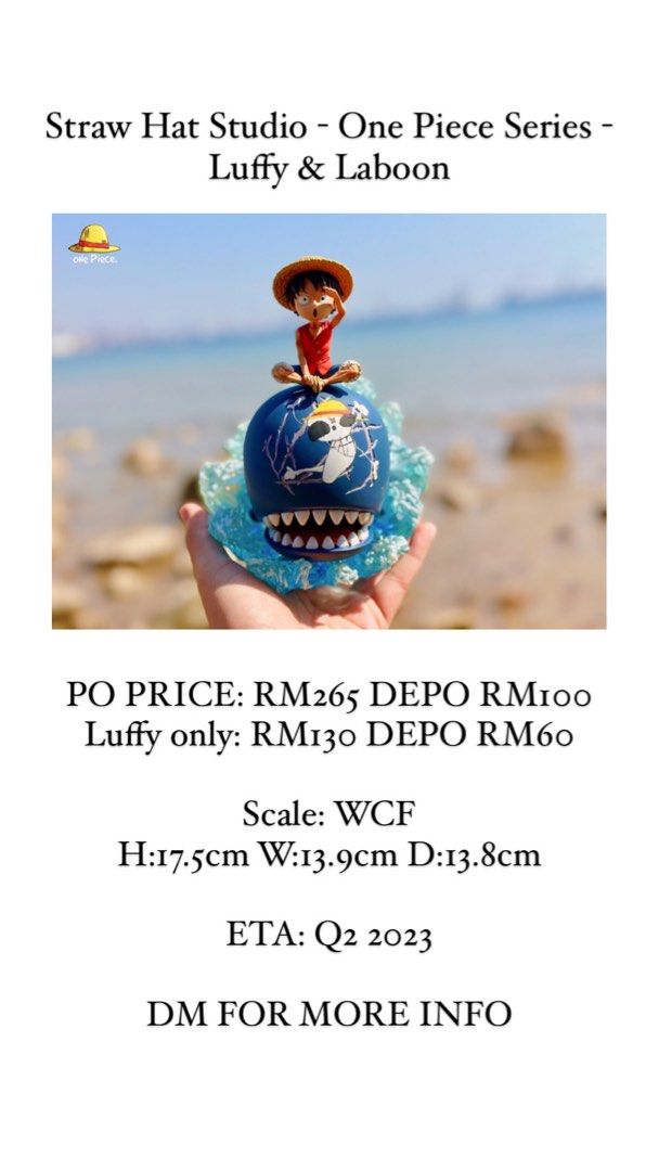 Straw Hat Studio - One Piece Series - Luffy & Laboon, Hobbies & Toys ...