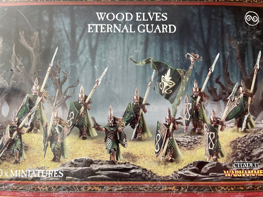 Warhammer Fantasy Battle Wood Elves Eternal Guard, Hobbies & Toys, Toys ...
