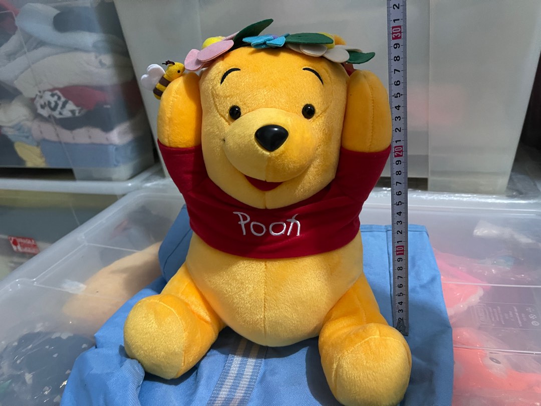 Touch the Sky Winnie the Pooh, Hobbies & Toys, Toys & Games on Carousell