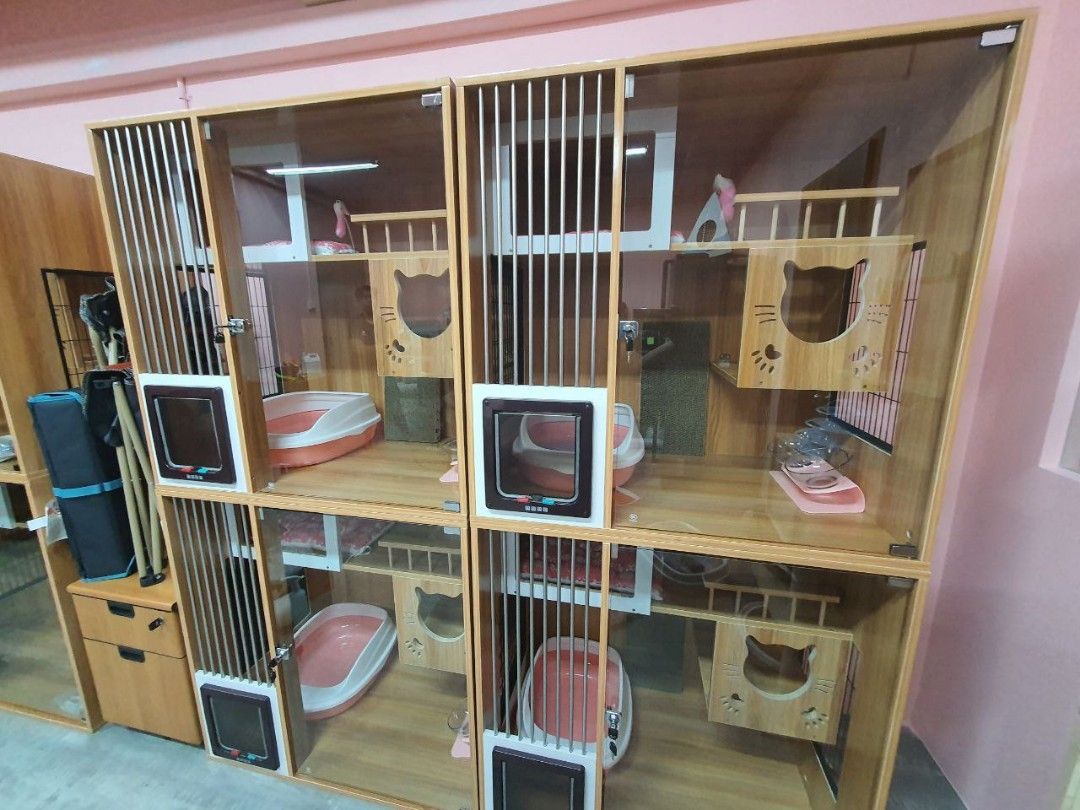 Cat Boarding | Cat Hotel in the East | Affordable !, Pet Supplies ...