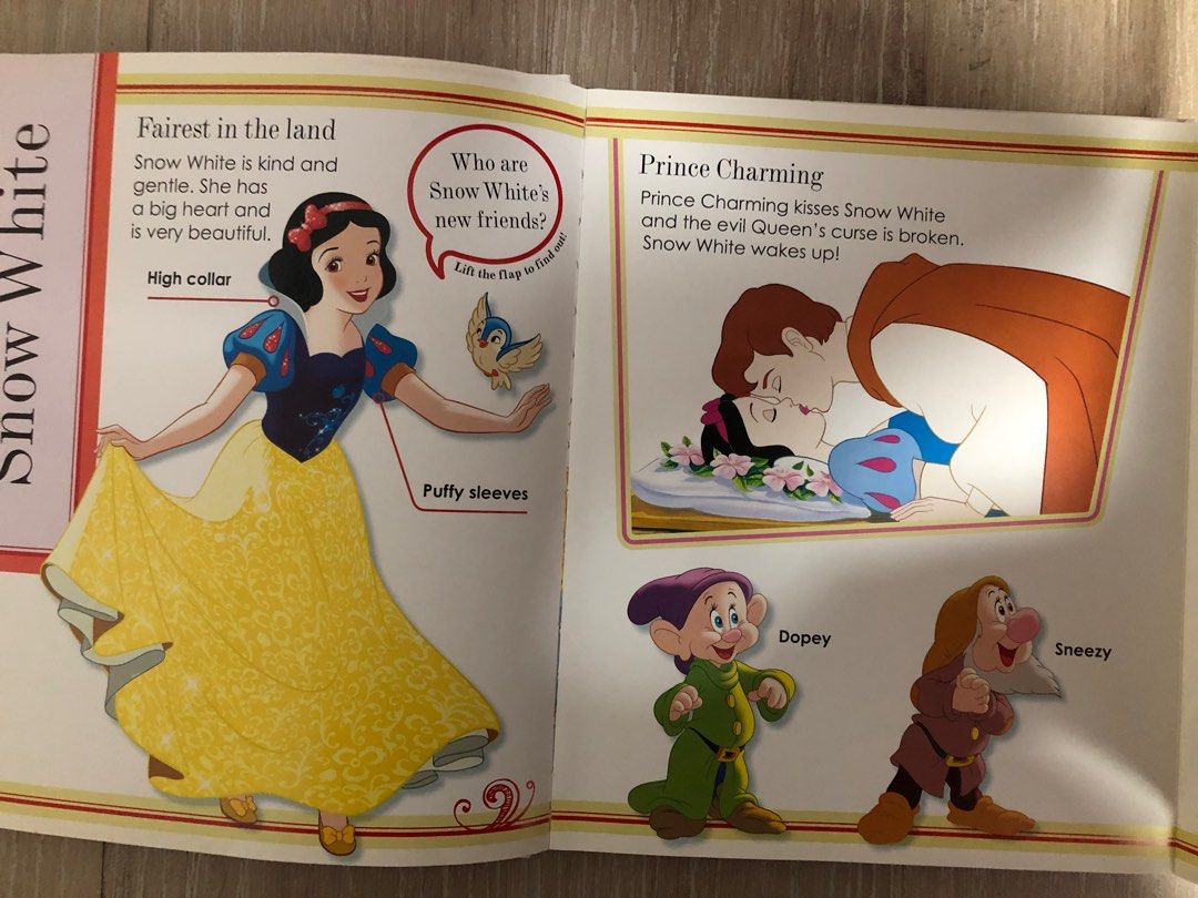 Dk princess book set, Hobbies & Toys, Books & Magazines, Children's ...