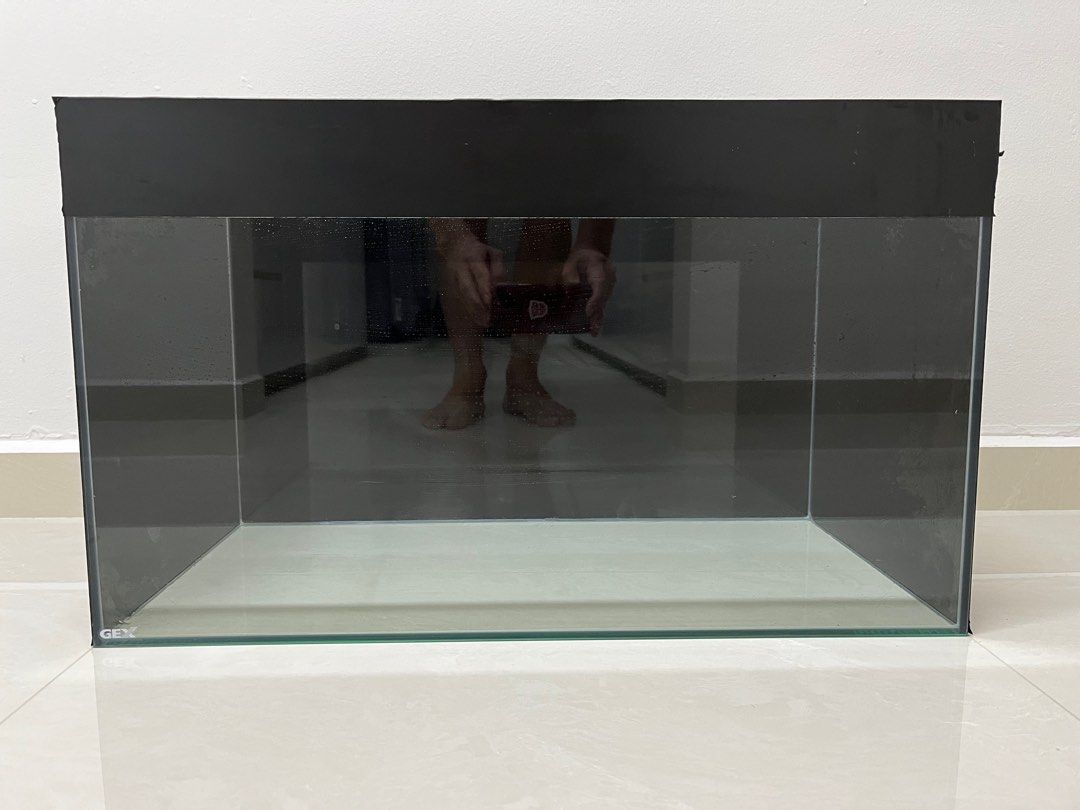 GEX 2 ft feet 60cm glass tank, Pet Supplies, Homes & Other Pet ...