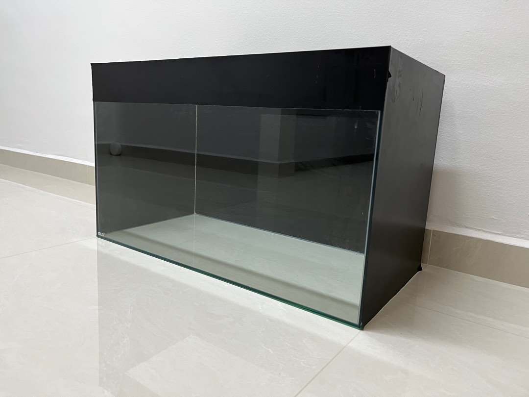 GEX 2 ft feet 60cm glass tank, Pet Supplies, Homes & Other Pet ...