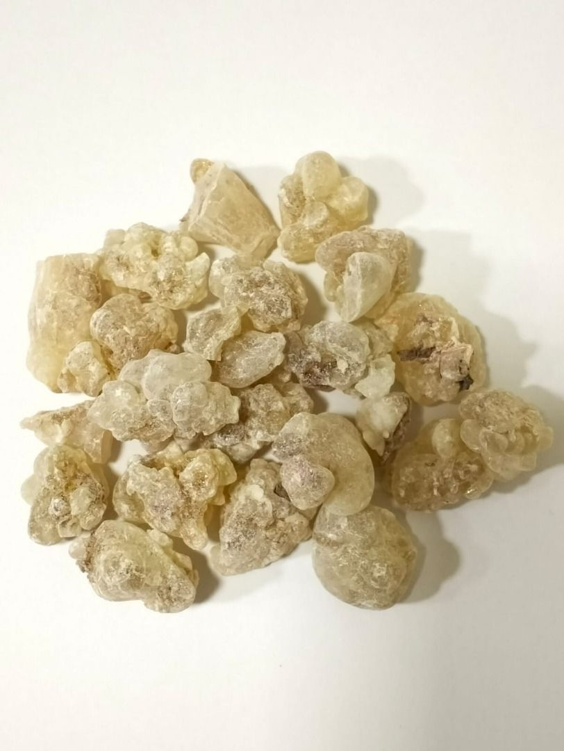 Hojari Light Green Frankincense Boswellia Sacra Al-Luban Olibanum Ru ...
