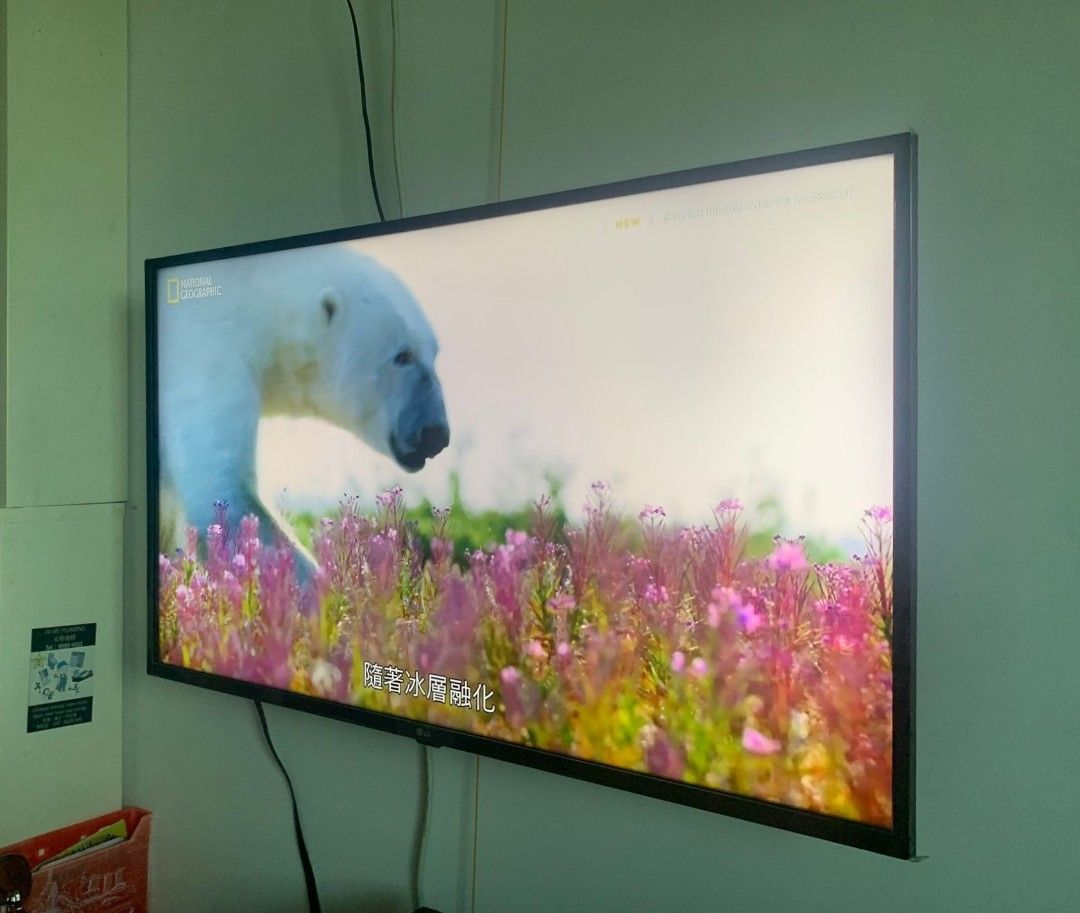 LG 43 Inch UHD 4K Smart TV (43UP75), TV & Home Appliances, TV ...