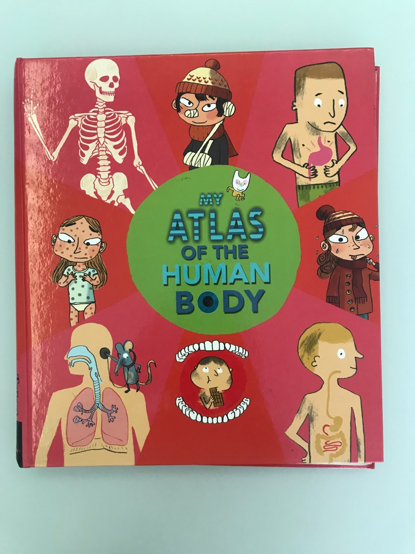 My Atlas of the Human Body, Hobbies & Toys, Books & Magazines, Children ...