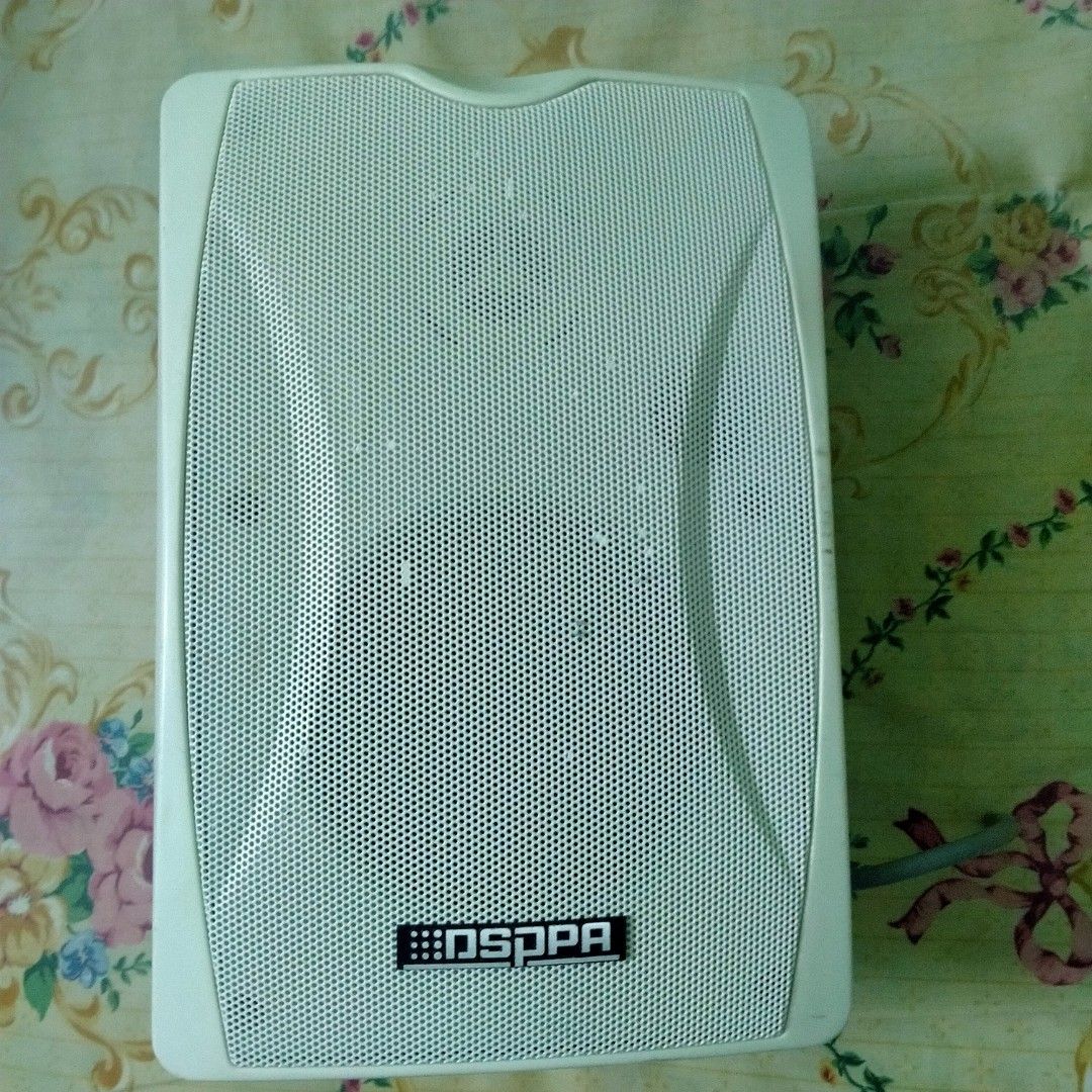 Outdoor Speaker Brand DSPPA model dsp8062w, Audio, Other Audio ...