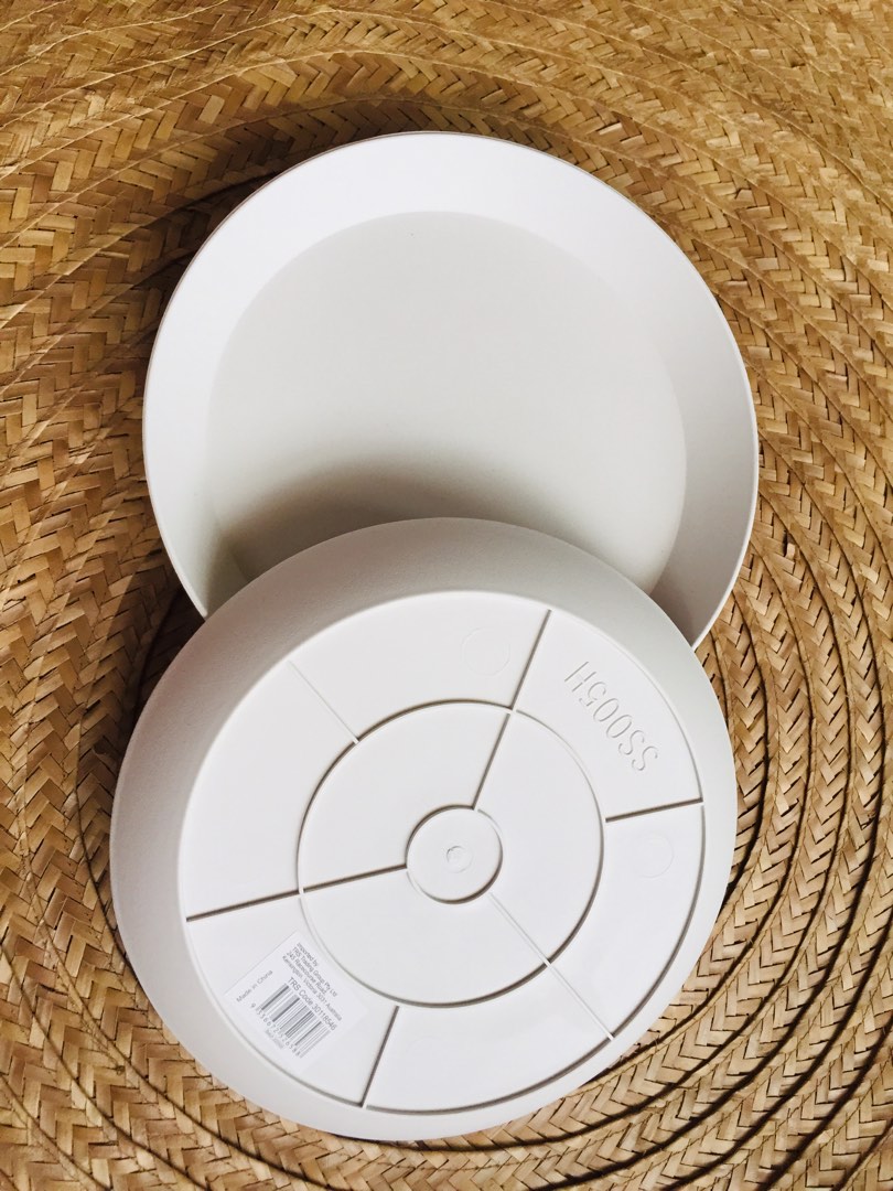 Plastic Pasta Plates 6pcs on Carousell