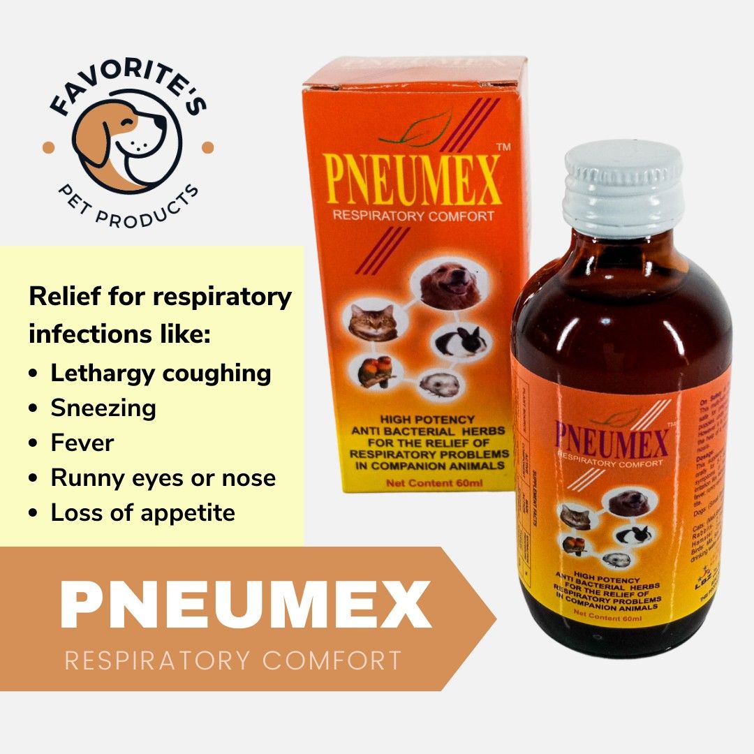 Pneumex Respiratory Comfort for Dogs and Cats, Pet Supplies, Health ...