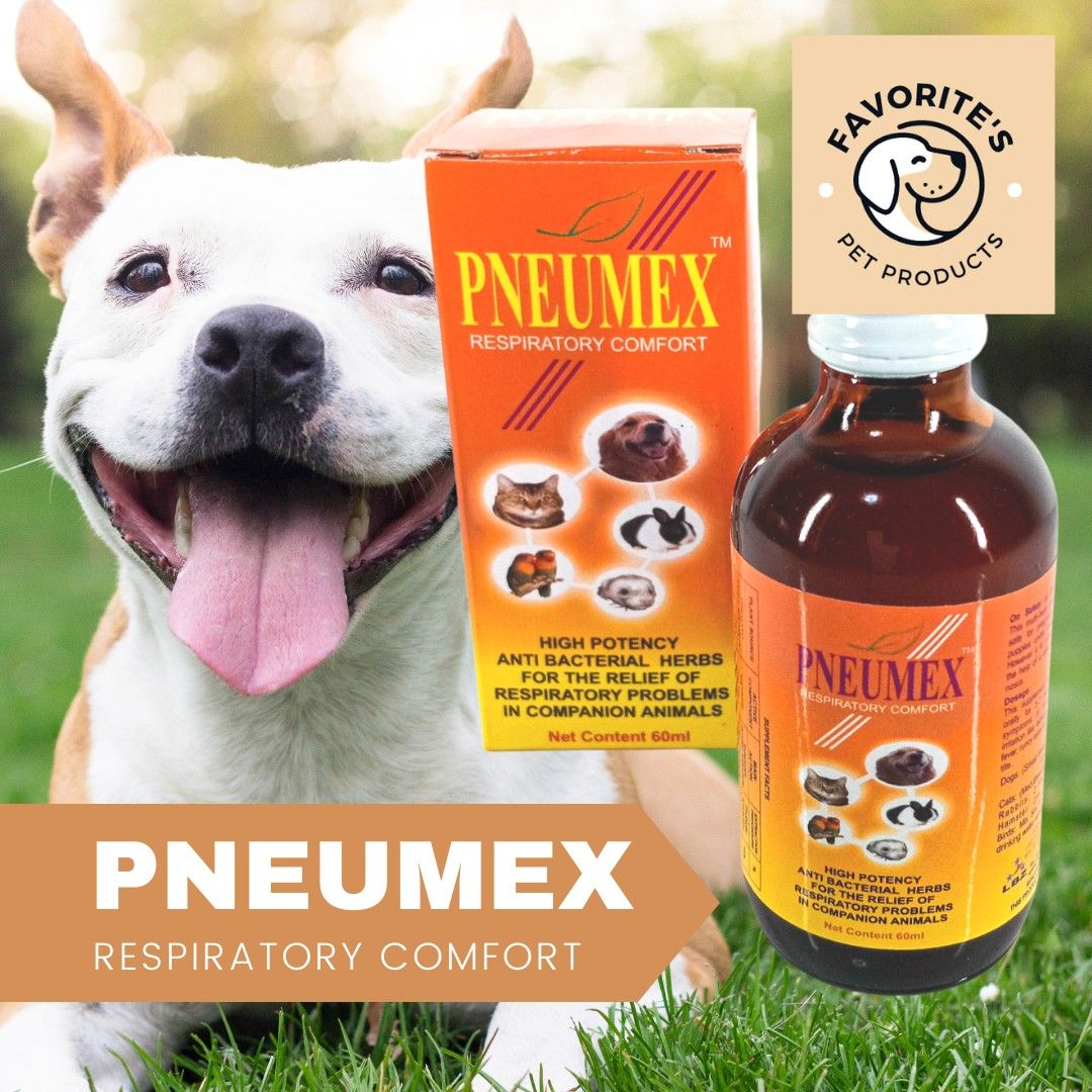 Pneumex Respiratory Comfort for Dogs and Cats, Pet Supplies, Health ...