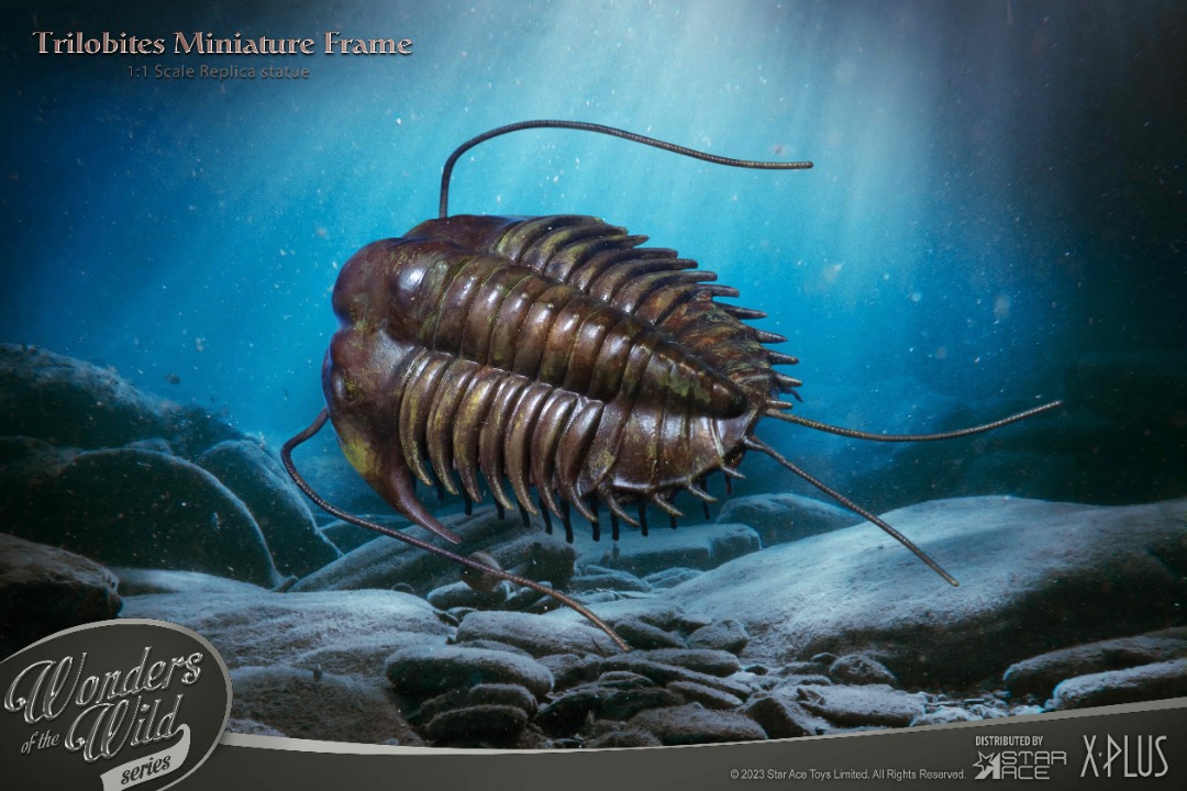 [PO] Star Ace Toys SA5022 Trilobites Miniature Frame & Fossil (Deluxe ...
