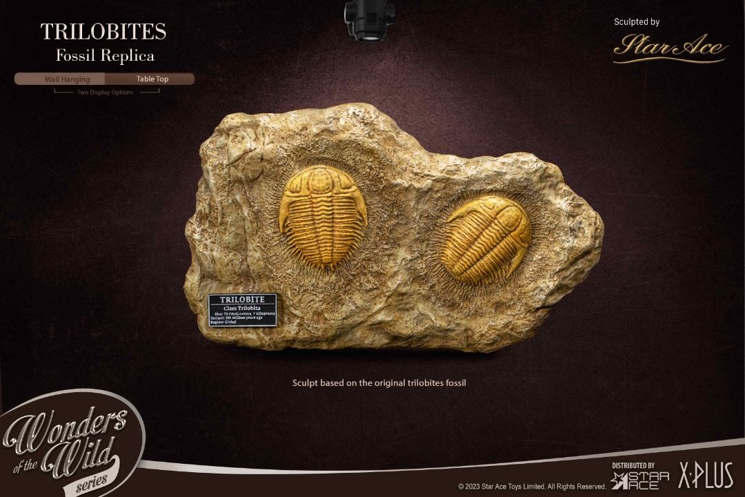 [PO] Star Ace Toys SA5022 Trilobites Miniature Frame & Fossil (Deluxe ...
