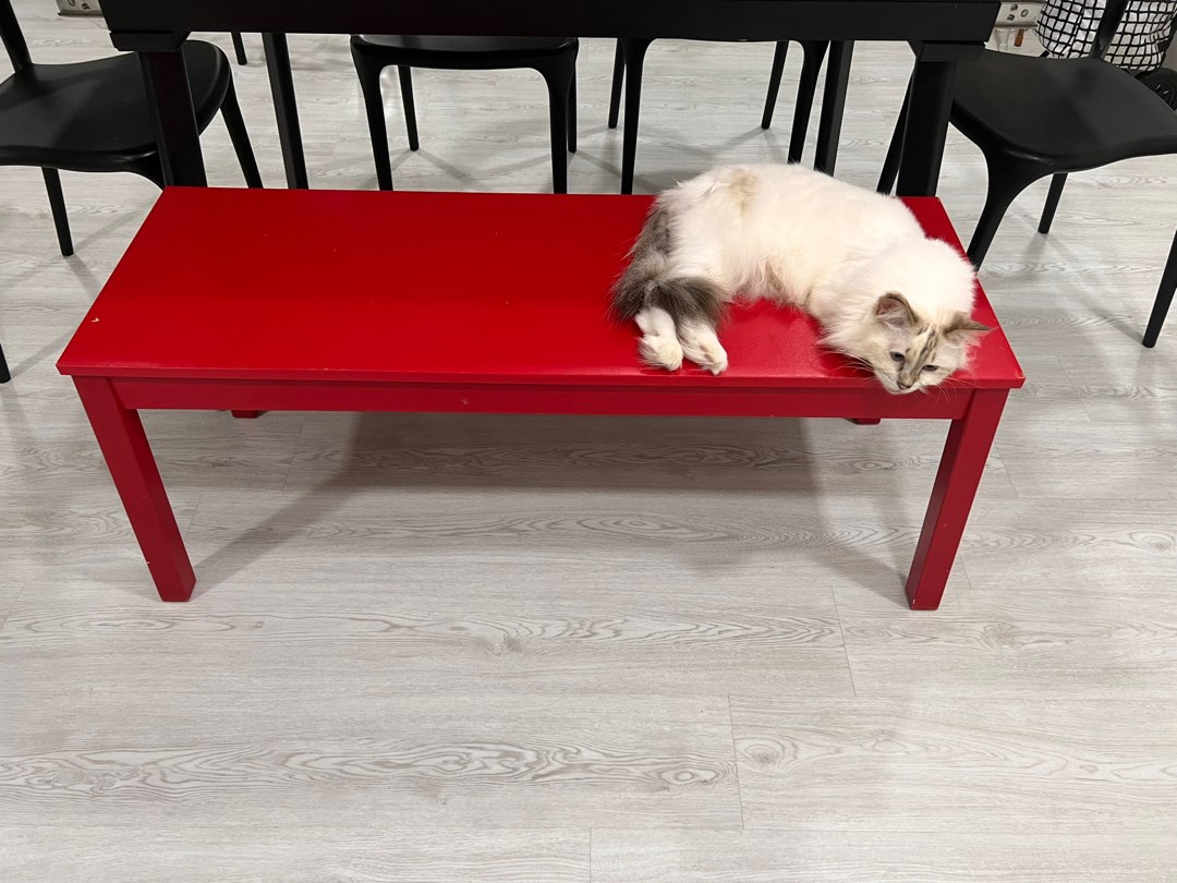 Red ikea bench, Furniture & Home Living, Furniture, Chairs on Carousell