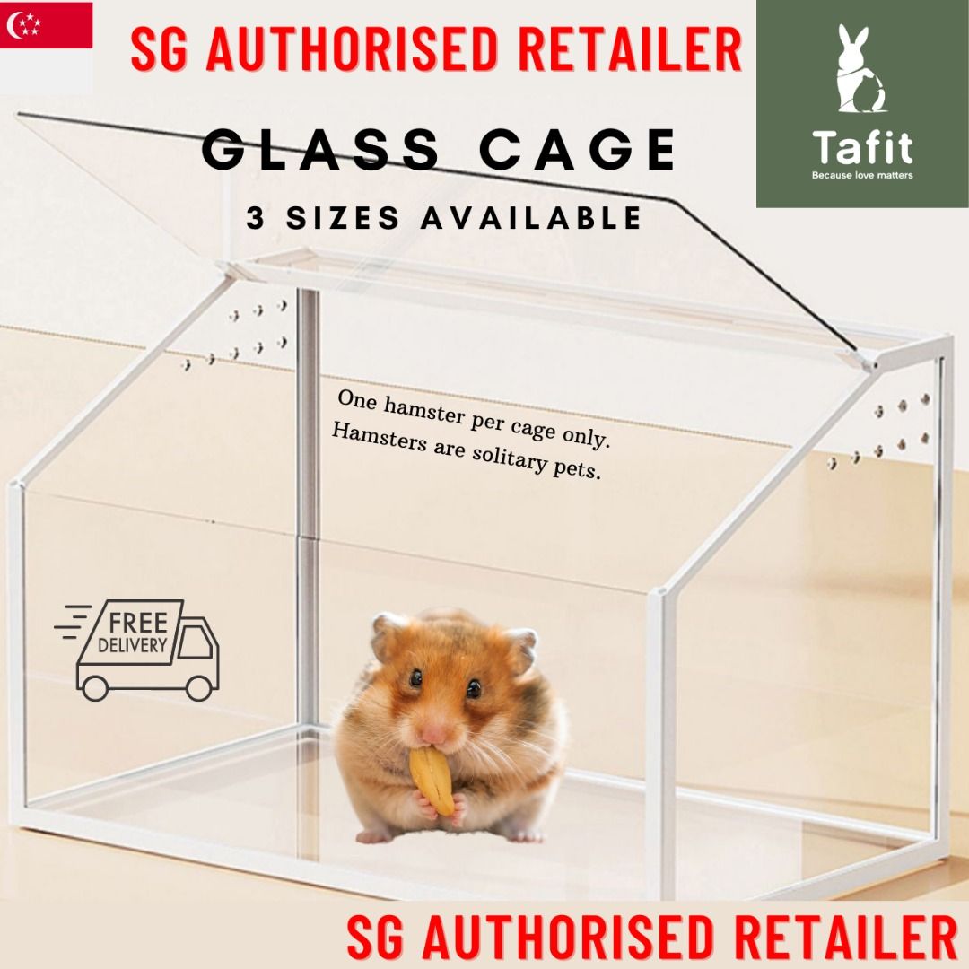 [SG] 84cm Glass Hamster Cage Tafit, Pet Supplies, Homes & Other Pet ...