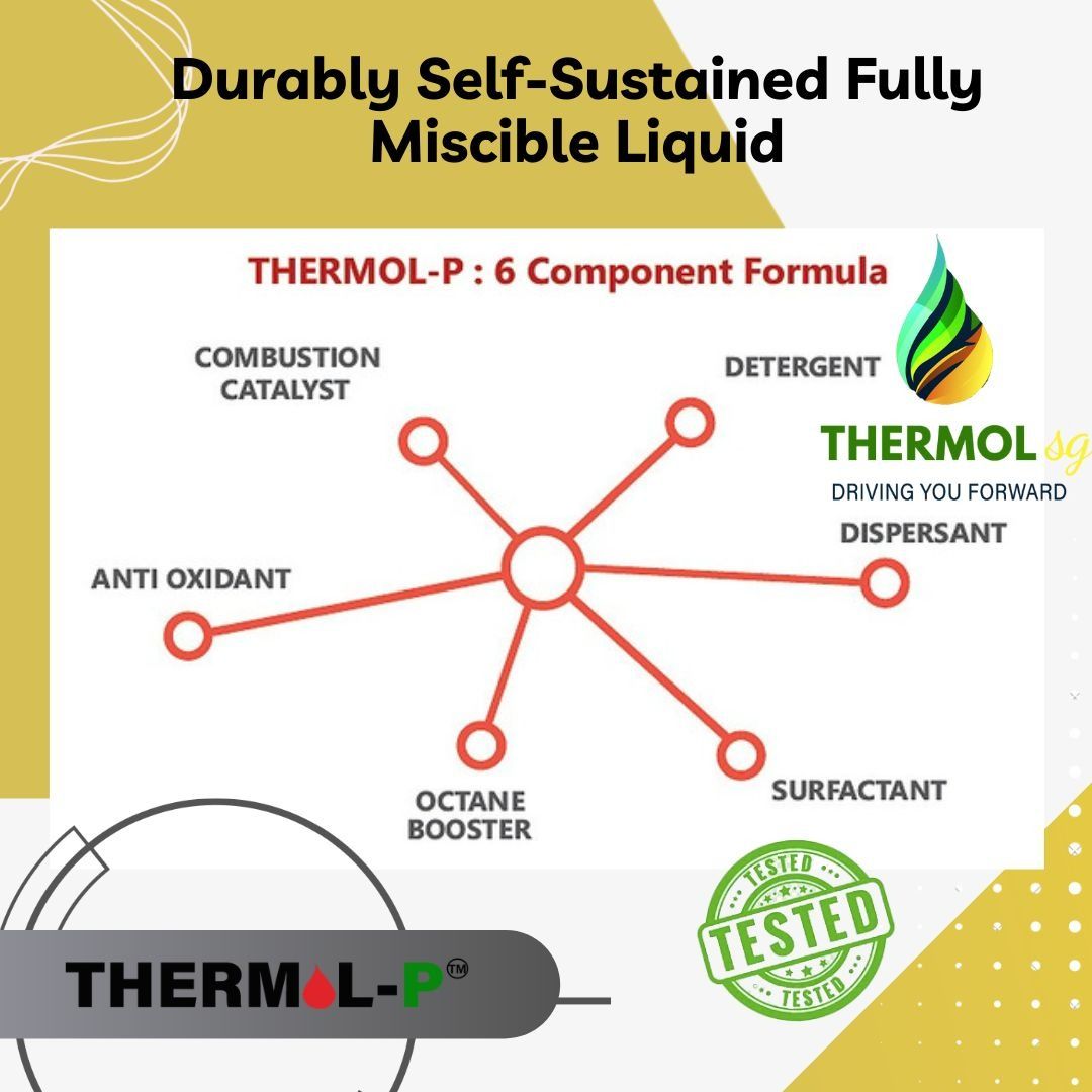 THERMOLsg Thermol-P PETROL Catalyst Pack 25ml x10 bottles, Car ...