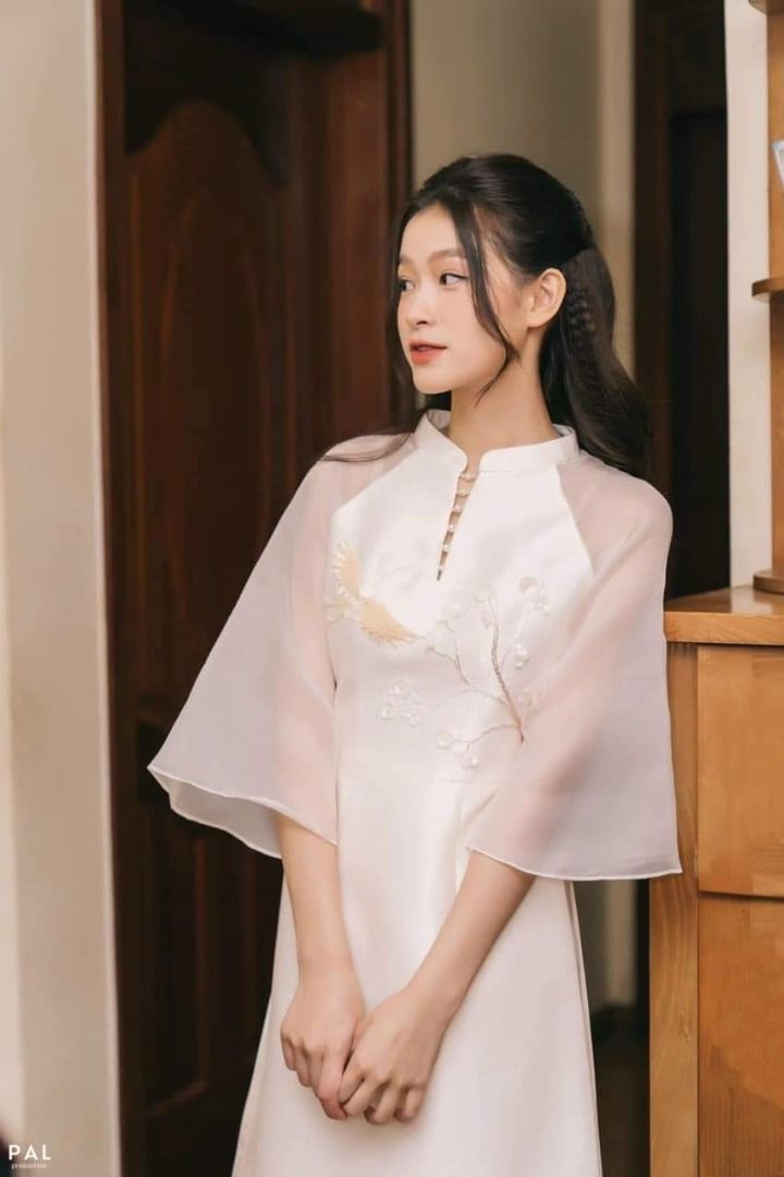Traditional Costume Vietnamese Ao Dai, Women's Fashion, Dresses & Sets ...