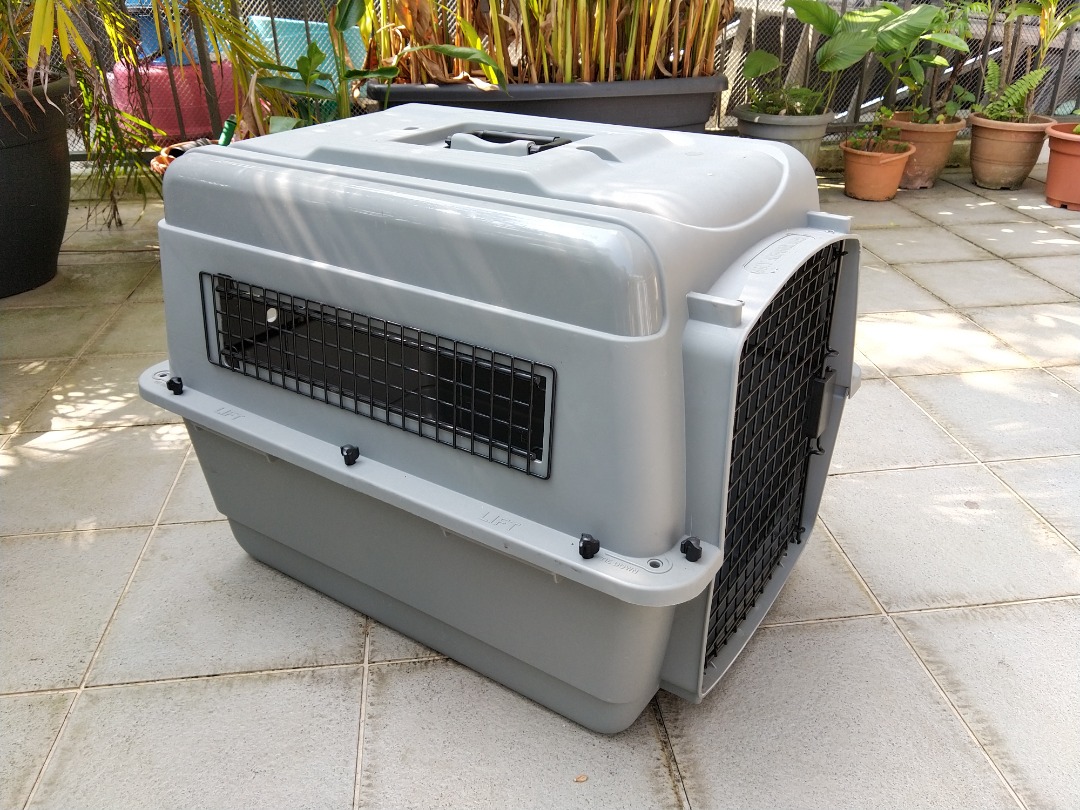 Transport crate Sky Kennel T2, Pet Supplies, Homes & Other Pet ...