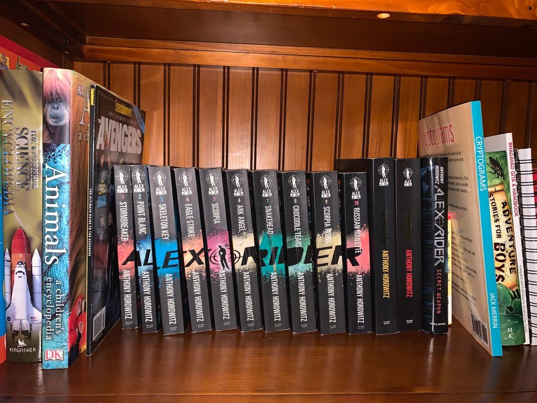 Beautiful Solid Wood Bookcase with Paneling in Honey Color (Pottery ...