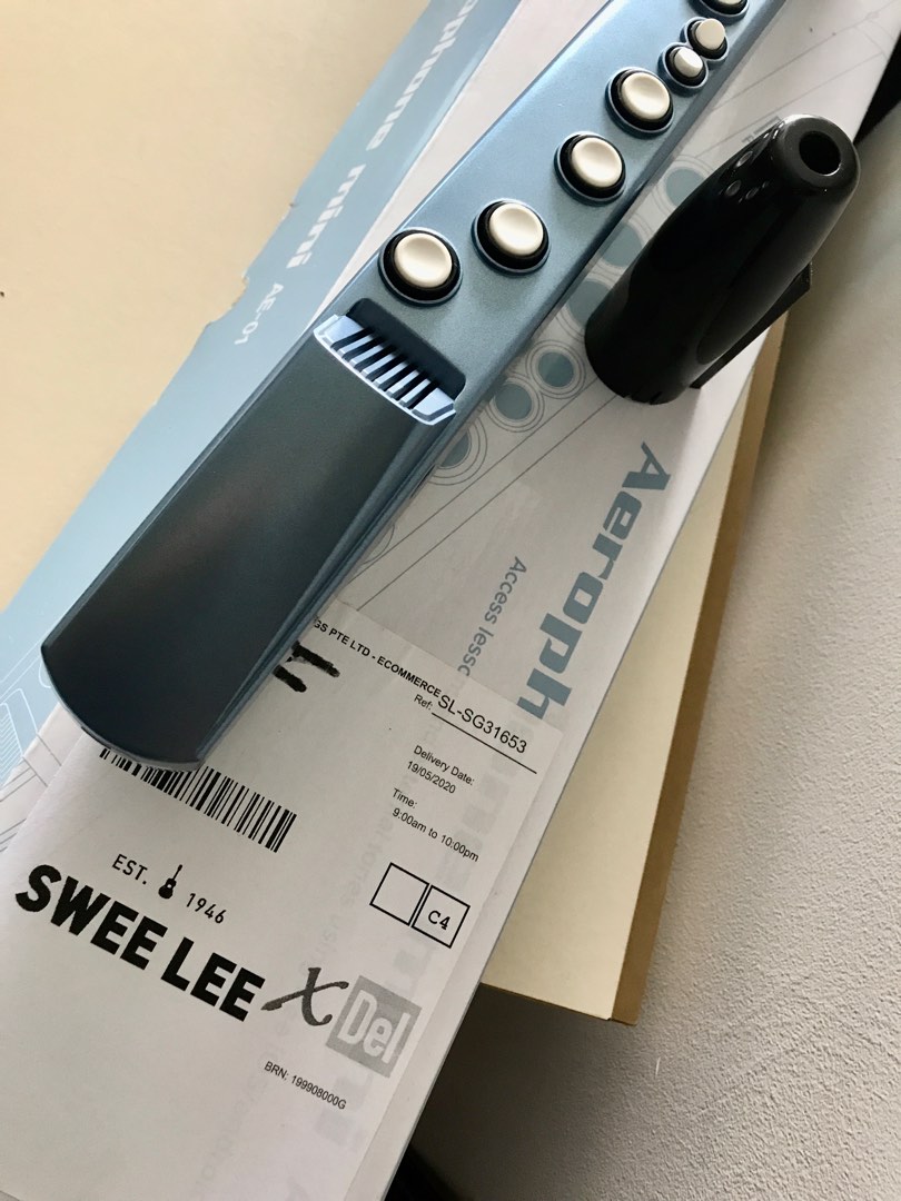 Flute (Roland Aerophone mini AE-01), Hobbies & Toys, Music & Media ...