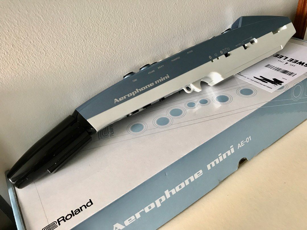 Flute (Roland Aerophone mini AE-01), Hobbies & Toys, Music & Media ...