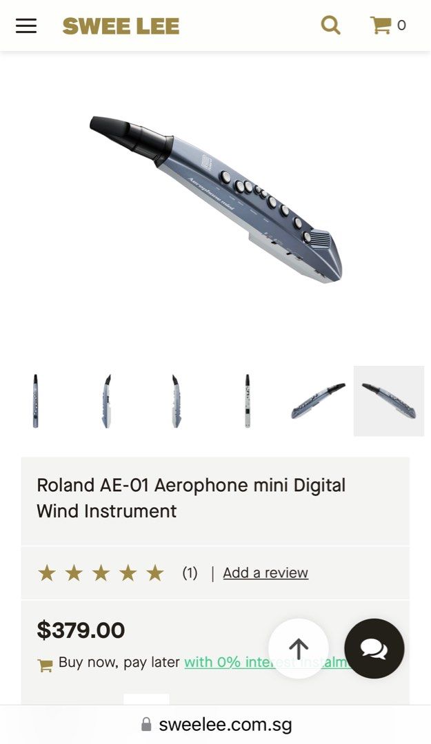 Flute (Roland Aerophone mini AE-01), Hobbies & Toys, Music & Media ...