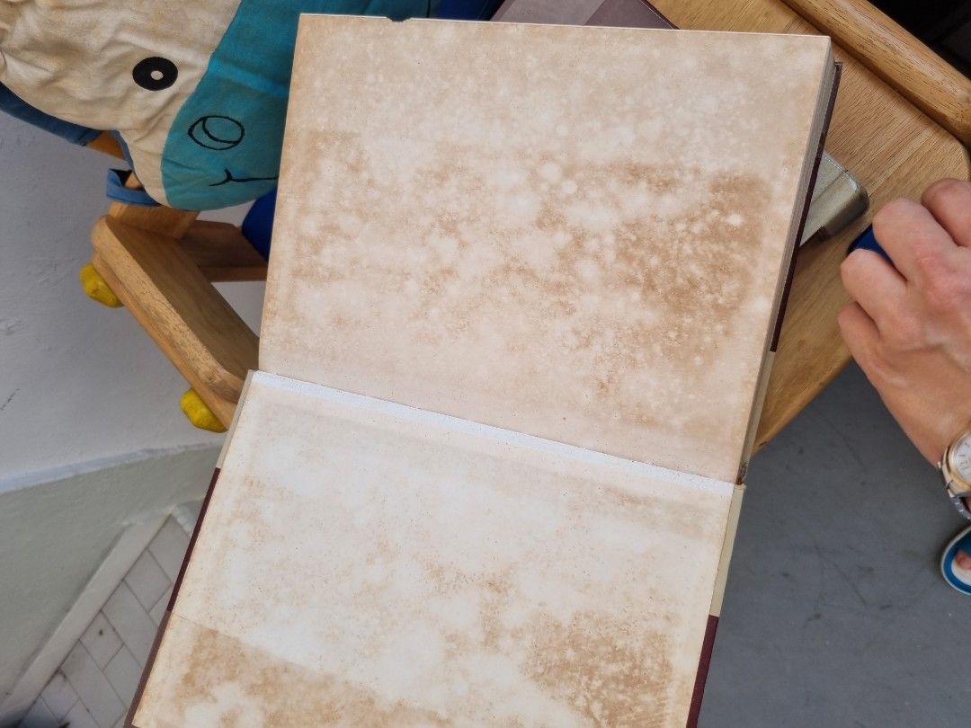 FREE selfcollect Bt Batok World Book Dictionary, Hobbies & Toys, Books ...