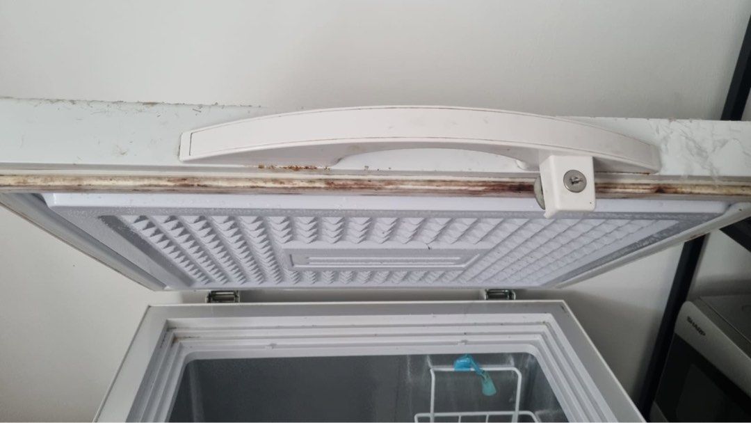 Freezer, TV & Home Appliances, Kitchen Appliances, Refrigerators ...