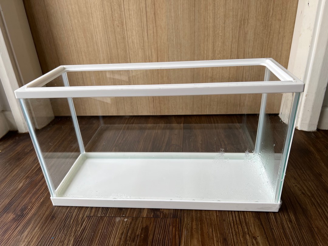 GEX Deskboy White 450, Pet Supplies, Homes & Other Pet Accessories on Carousell