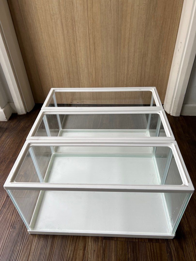 GEX Deskboy White 450, Pet Supplies, Homes & Other Pet Accessories on Carousell