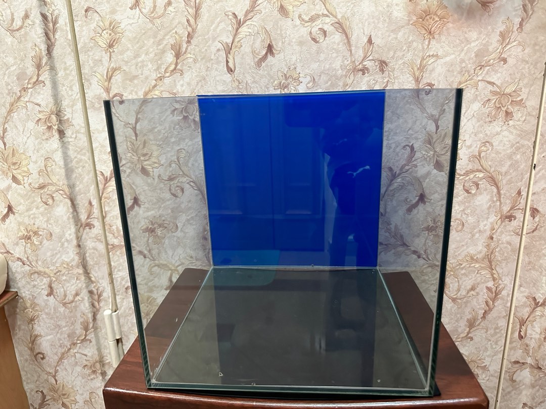 GEX Glassterior 300 Fish Tank and Accessories, Pet Supplies, Homes & Other Pet Accessories on ...