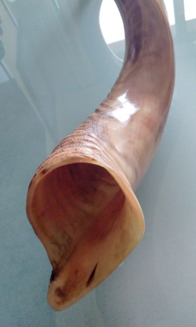 KUDU HORN SHOFAR ( Genuine), Hobbies & Toys, Music & Media, Musical ...