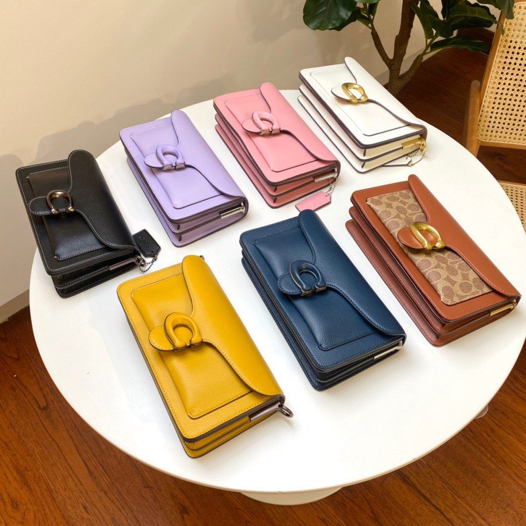 Original Coach CH735 sling crossbody Raya bag handbag, Luxury, Bags ...