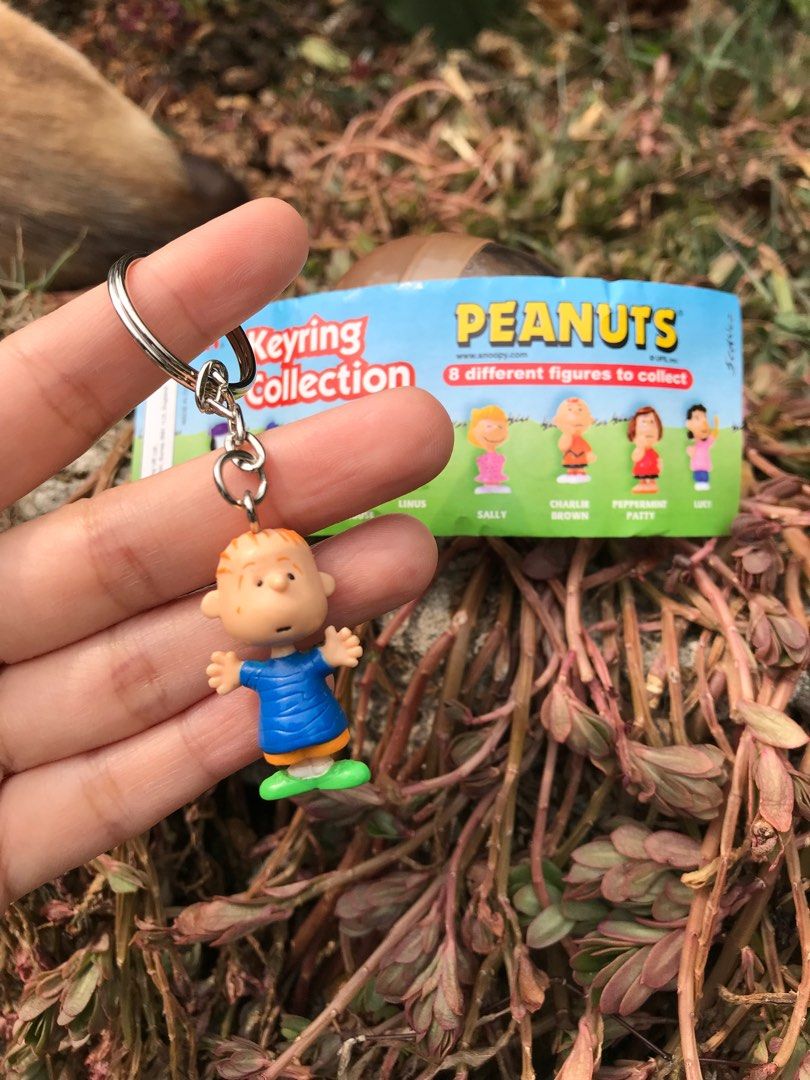 PEANUTS CHARLIE BROWN KEY CHAIN on Carousell