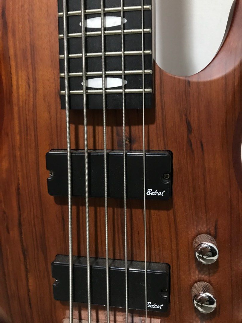 Pulse Precision Bass Guitar with Active pickup 5 strings, Hobbies ...