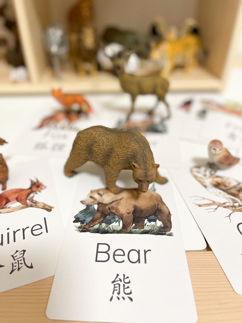 [SG LOCAL STOCK] Bilingual Animal Flashcards English Chinese Early ...
