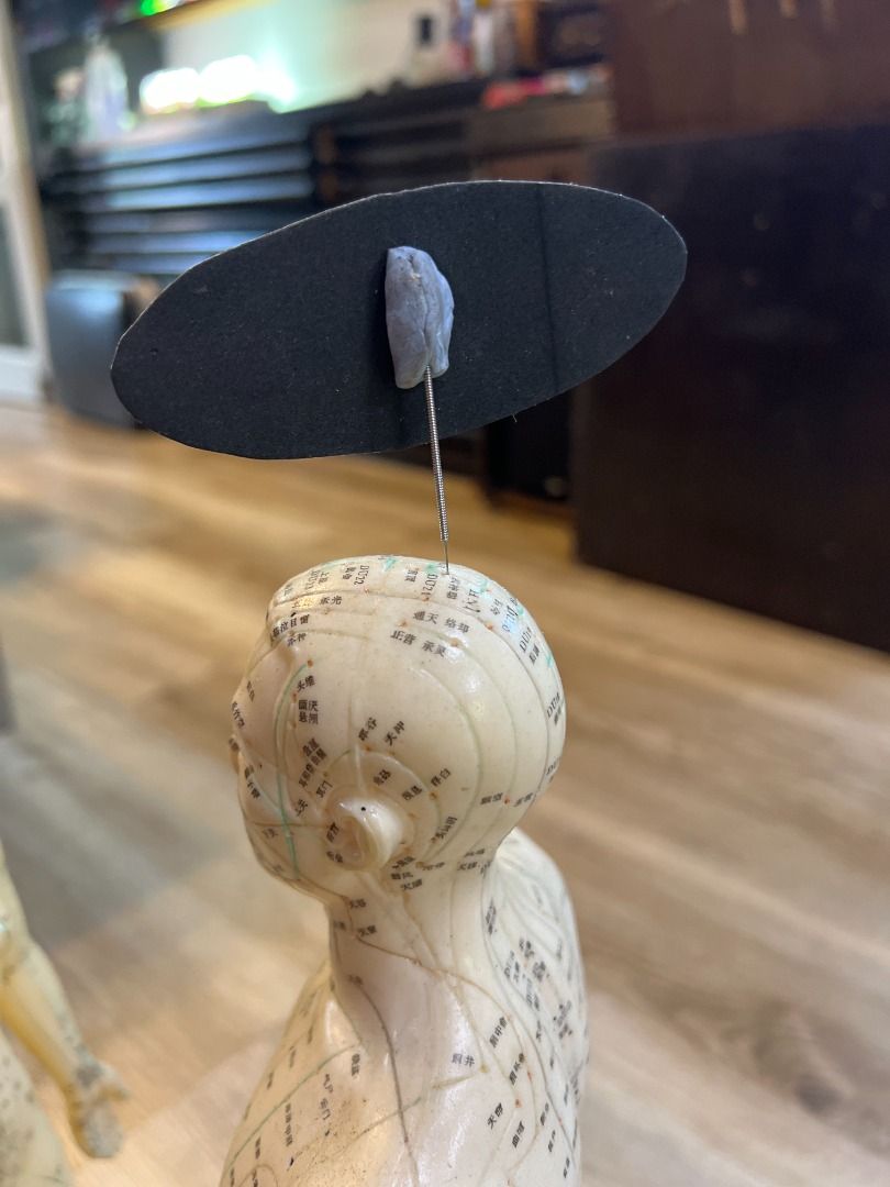 TCM Acupuncture Dolls Practice Display Figurine, Furniture & Home ...