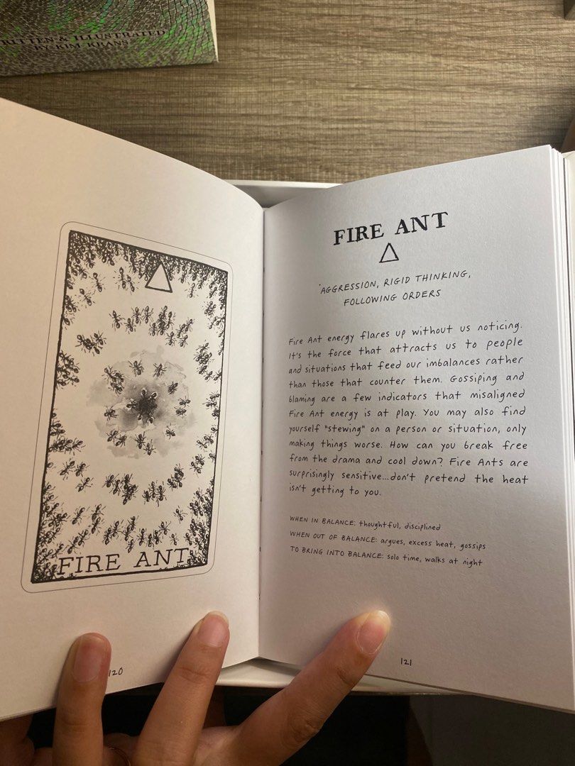 The Wild Unknown Animal Spirit Deck and Guidebook (Official Keepsake ...