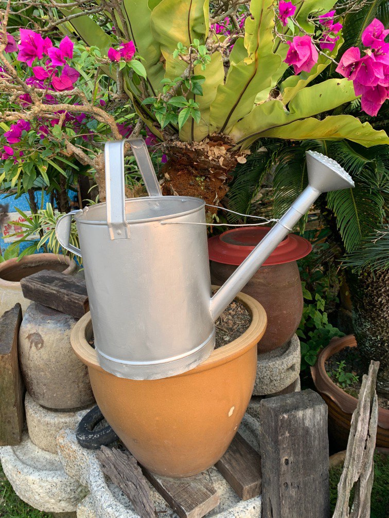 Vintage watering can, Hobbies & Toys, Collectibles & Memorabilia ...